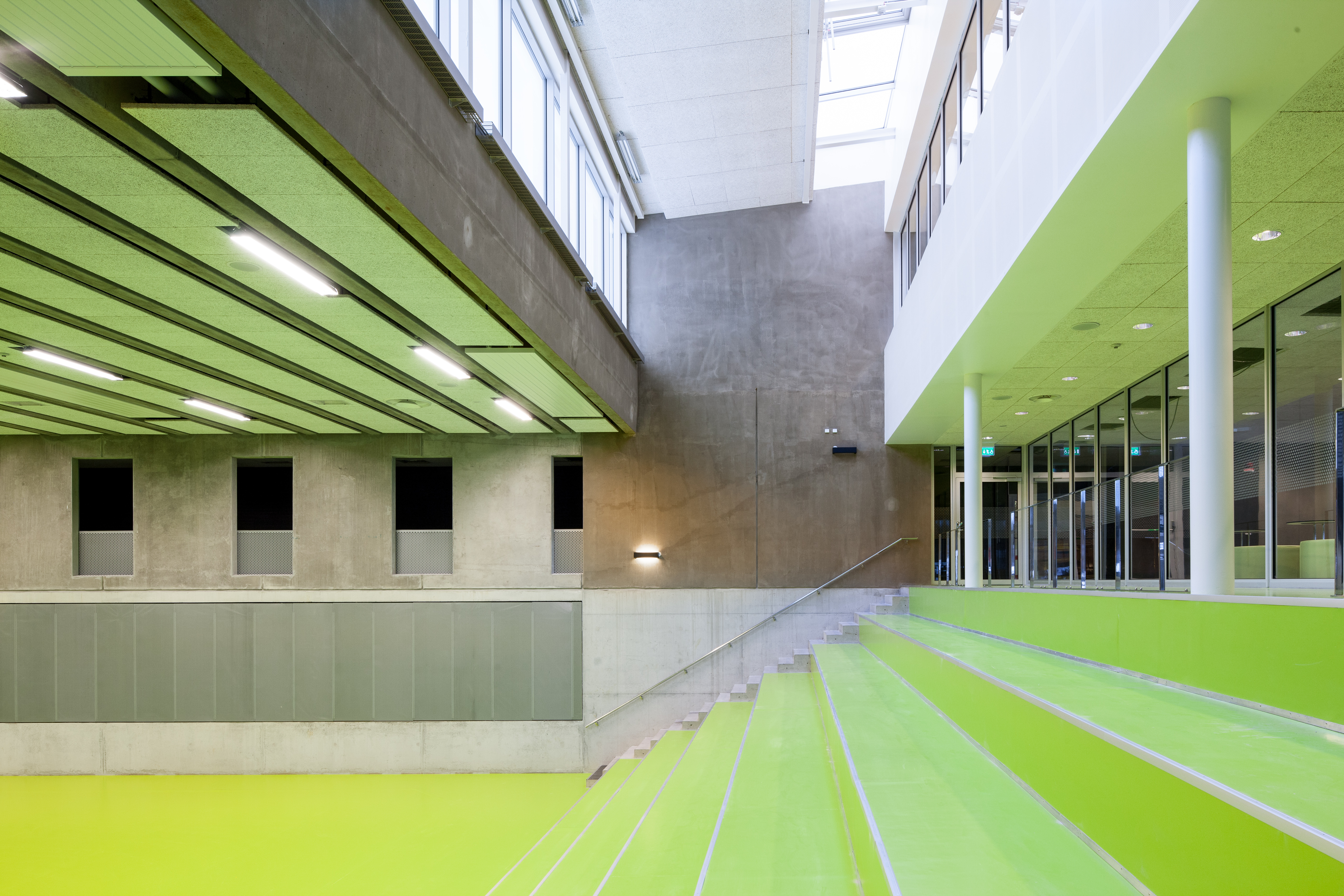 Angered Arena - Erseus